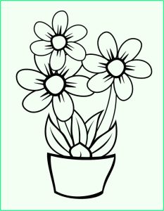 Baru! Contoh Sketsa Gambar Bunga yang Cantik dan Indah – javalaku