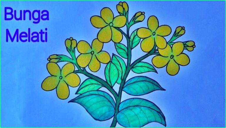 Baru! Contoh Sketsa Gambar Bunga yang Cantik dan Indah – javalaku